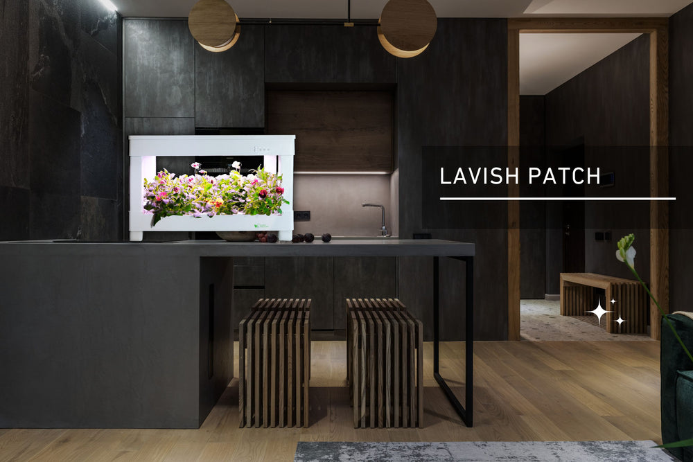 Indoor Hydroponic Garden Growing System - Lavish Patch